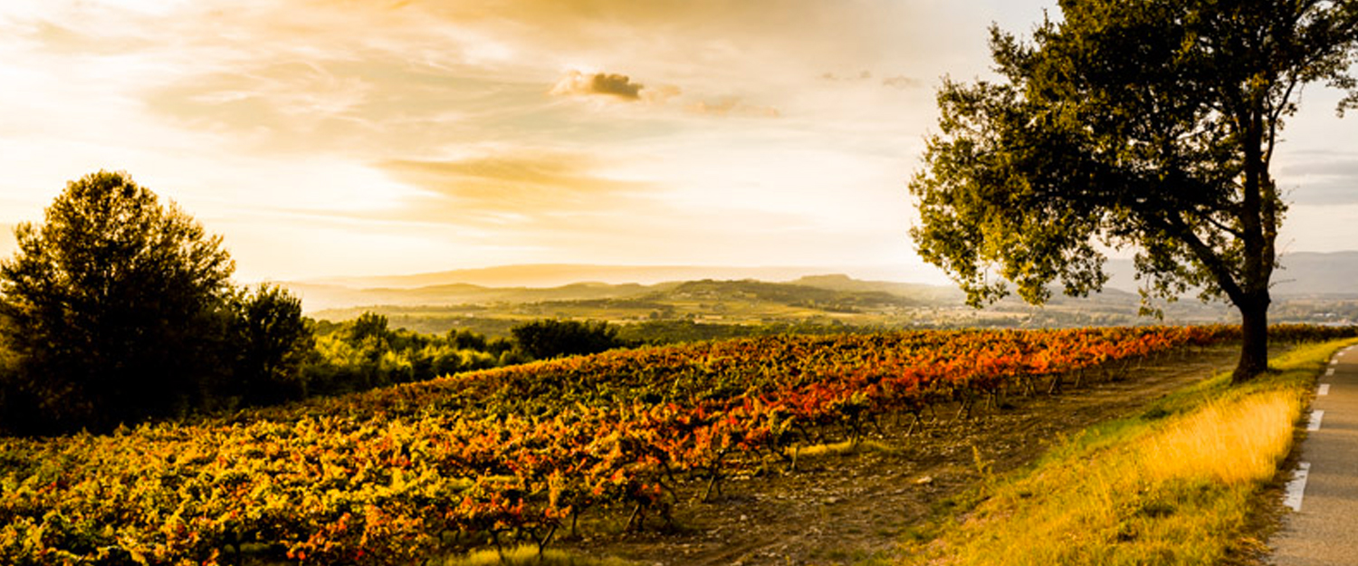 Avignon et Provence | Hebergement, tourisme et vacances en Provence et ...