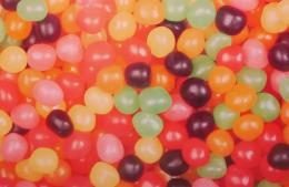 Location de vacances Gard | Avignon et Provence