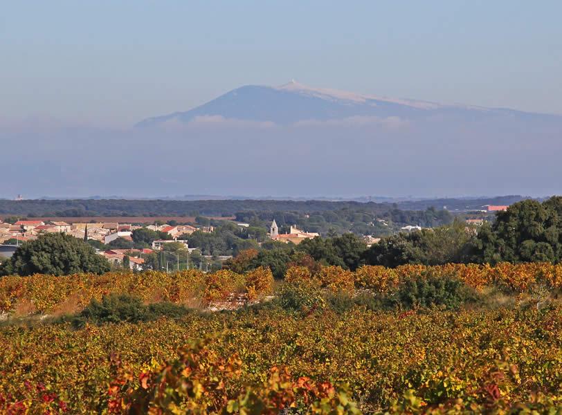 Tourisme Tavel Et Lirac Visitez Tavel Et Lirac Avignon Et Provence tourisme-tavel-et-lirac-visitez-tavel-et-lirac-avignon-et-provence